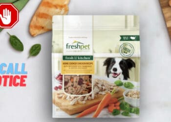 BeyondBarks.com - We Adore Dogs