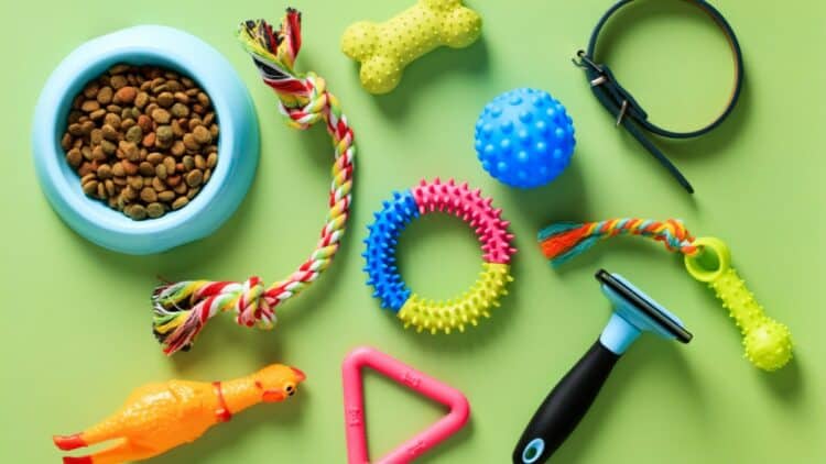 What Colors Can Dogs See? A Comprehensive Guide for Pet Owners - www ...