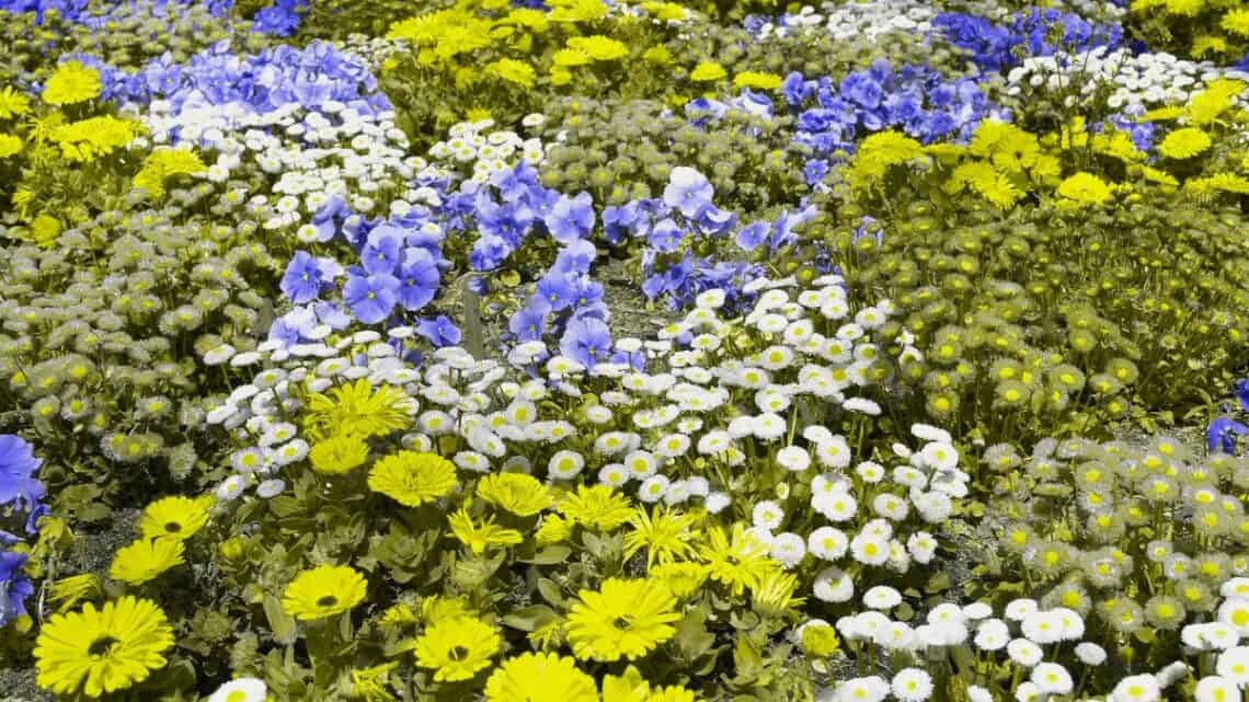 What Colors Can Dogs See? A Comprehensive Guide for Pet Owners - www ...